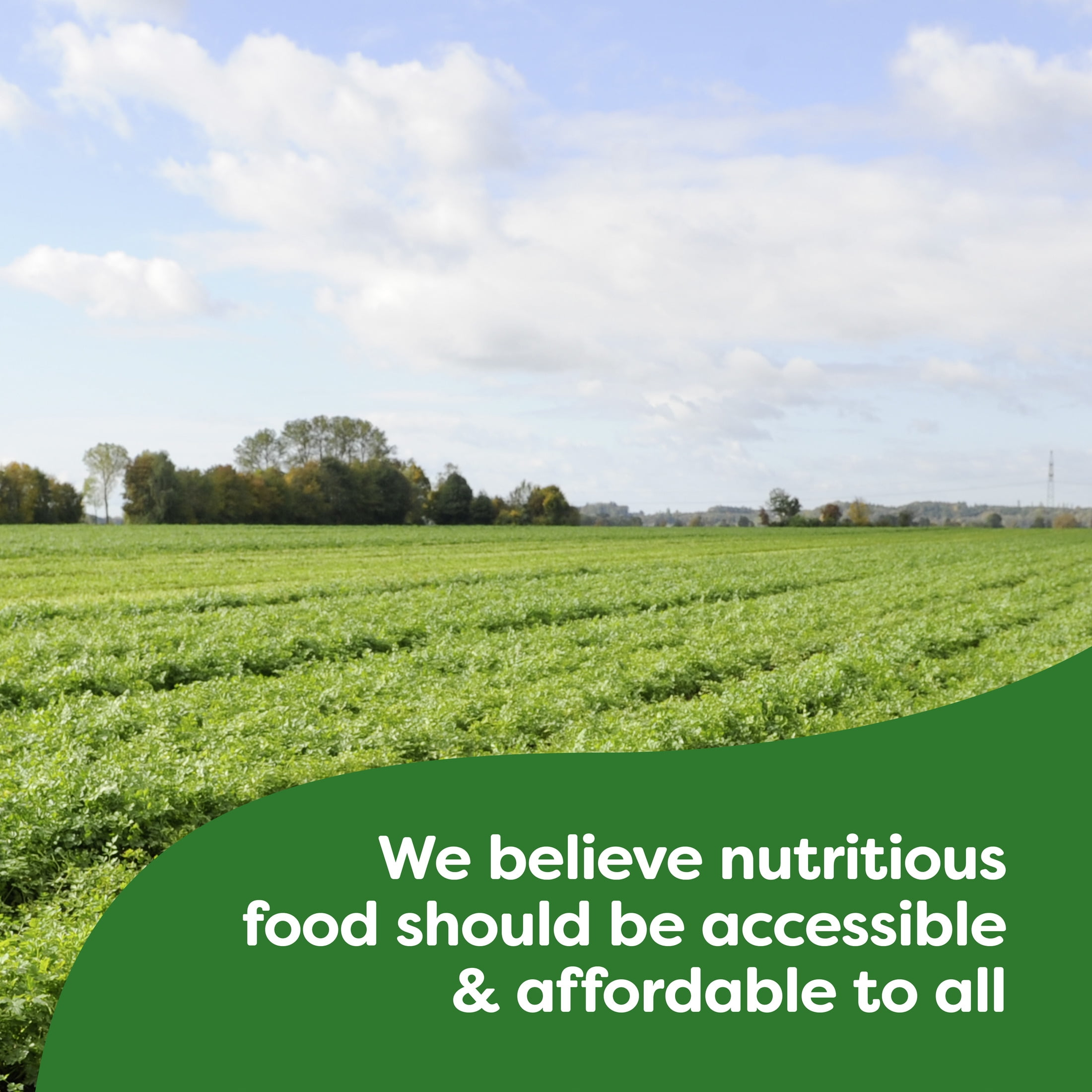 Knorr No Artificial Flavors Spanish Parboiled Rice Cooks in 7 Minutes ...